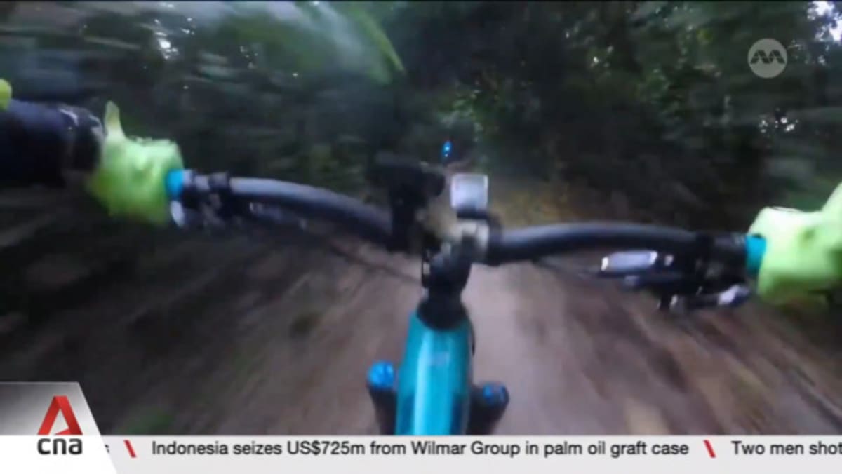 Cyclists urged to stay on designated trails, follow safety guidelines - CNA