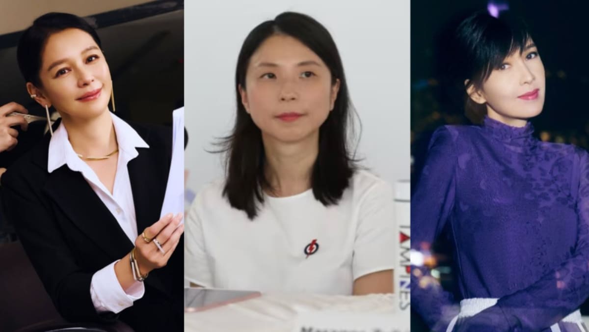 Does PAP Tampines GRC Candidate Charlene Chen Look Like A Cross Between Vivian Hsu And Vivian ...