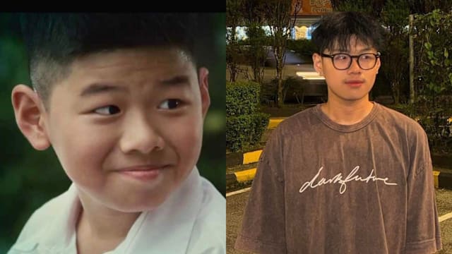 11岁就爆红！马来西亚男星叶子诚惊传过世，得年25岁 - vibes by 8world