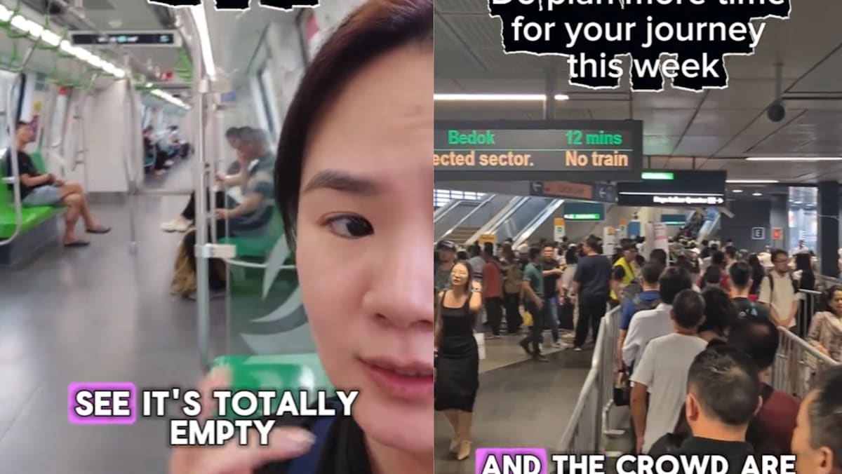 How Commuters Are Coping With East-West MRT Line Train Changes During ...
