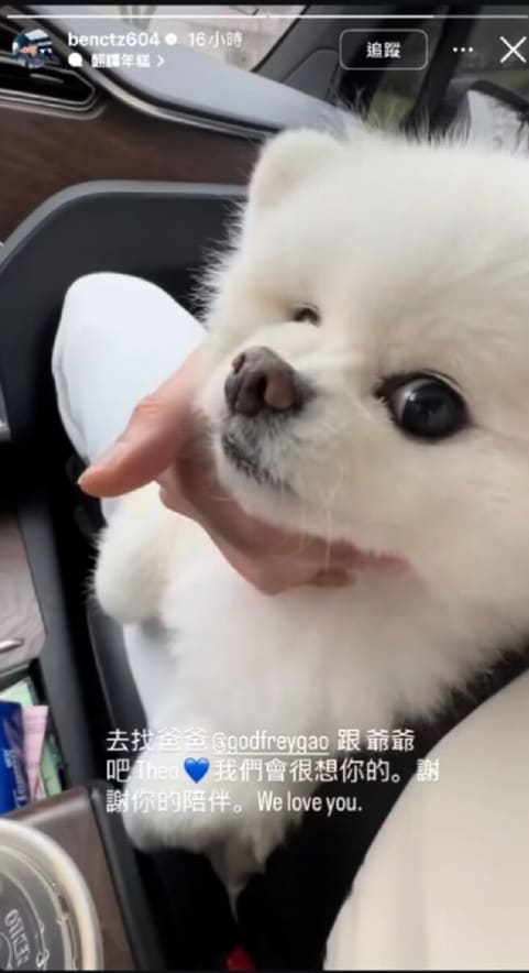 “Go Find Dad & Grandpa”: Godfrey Gao’s Dog Passes Away 6 Years After ...