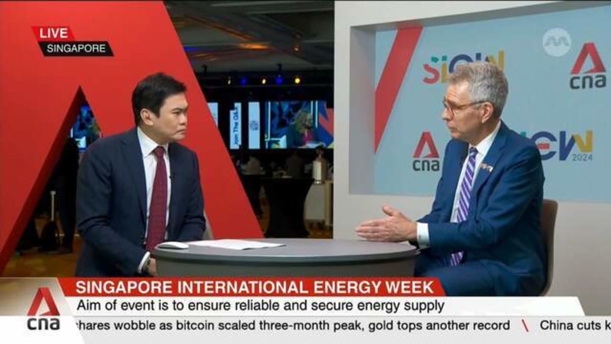 Asia’s future energy decisions will have ‘material’ impact on world’s climate goals: US official ...