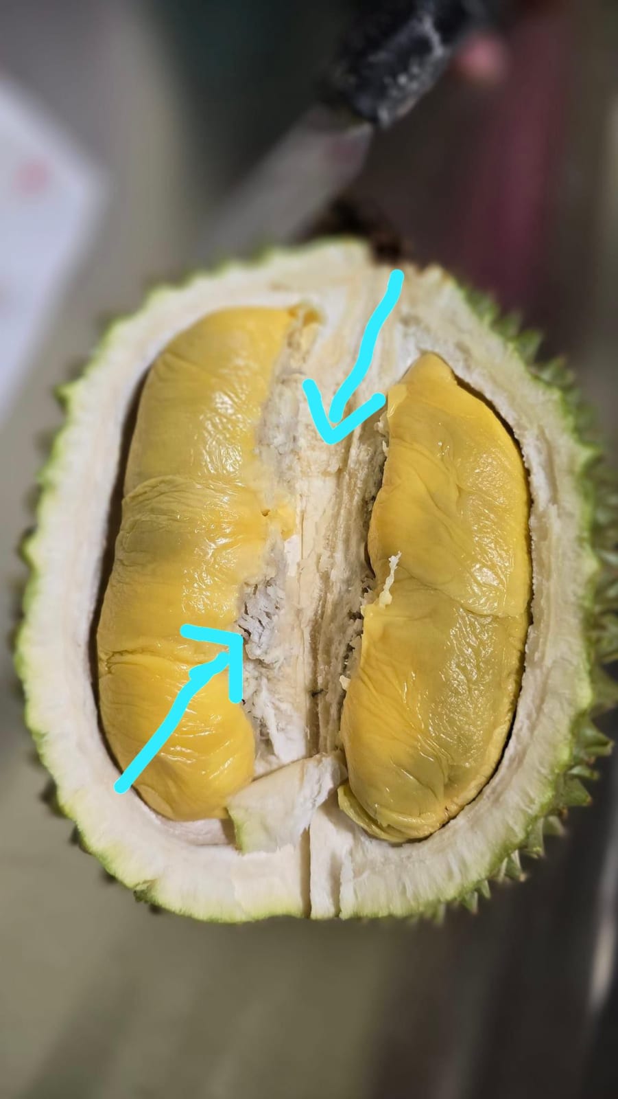 Can Eat Or Not? We Ask Durian Sellers Whether Viral ‘Bruised’ Durians ...