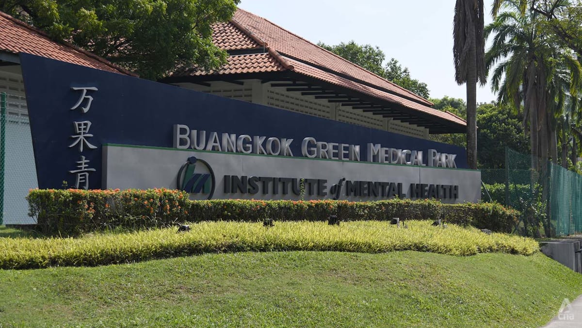 IMH launches 10-year study of youths to support and track their mental ...