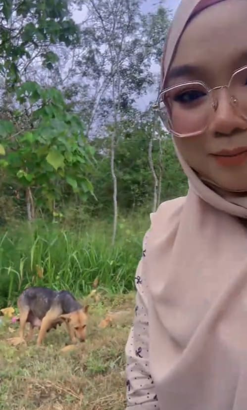 Muslim M'sian Woman Drives 7km To Buy Chicken Rice For Stray Dog - 8days