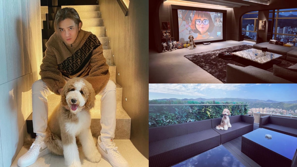 Show Luo’s Living Room Is So Big, Netizens Say It Looks More Like A ...