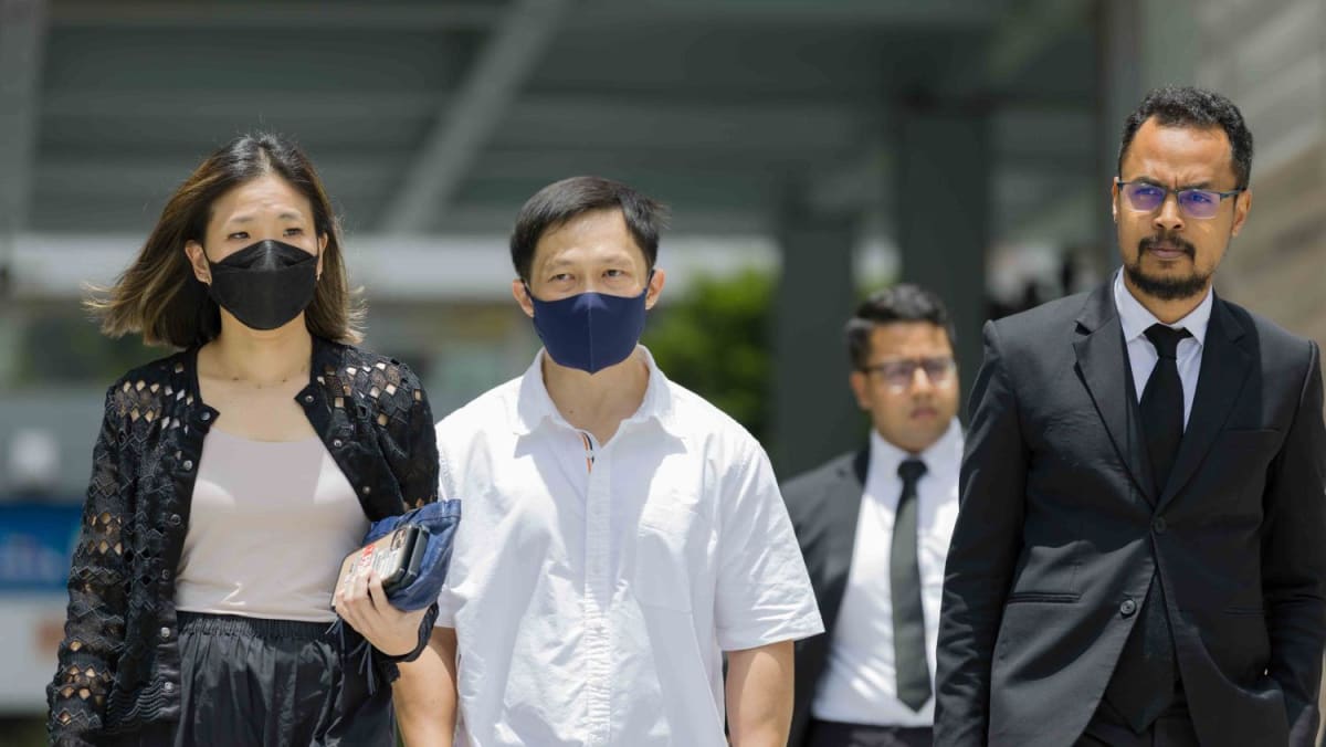 Karl Liew, son of ex-Changi Airport Group chairman, admits lying to ...