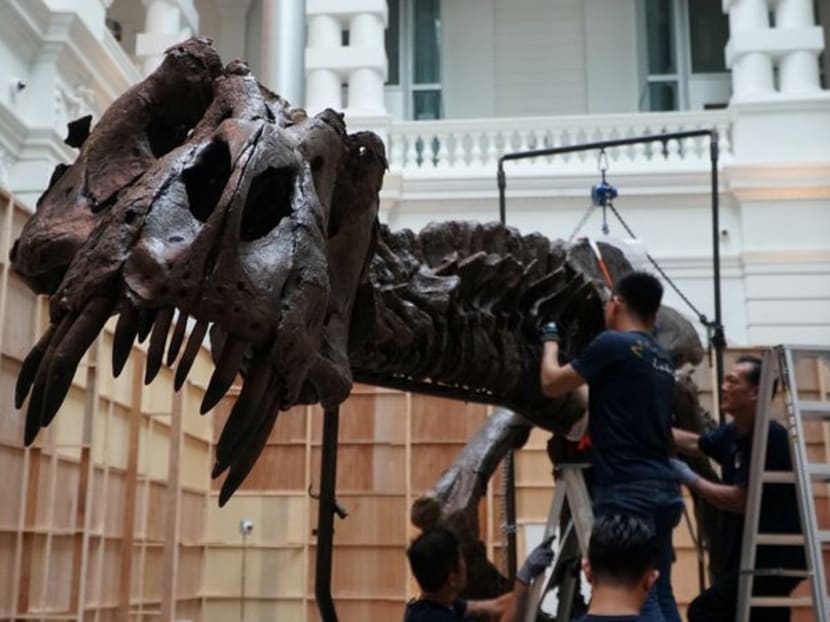 T-Rex skeleton draws crowds in Singapore before auction - TODAY