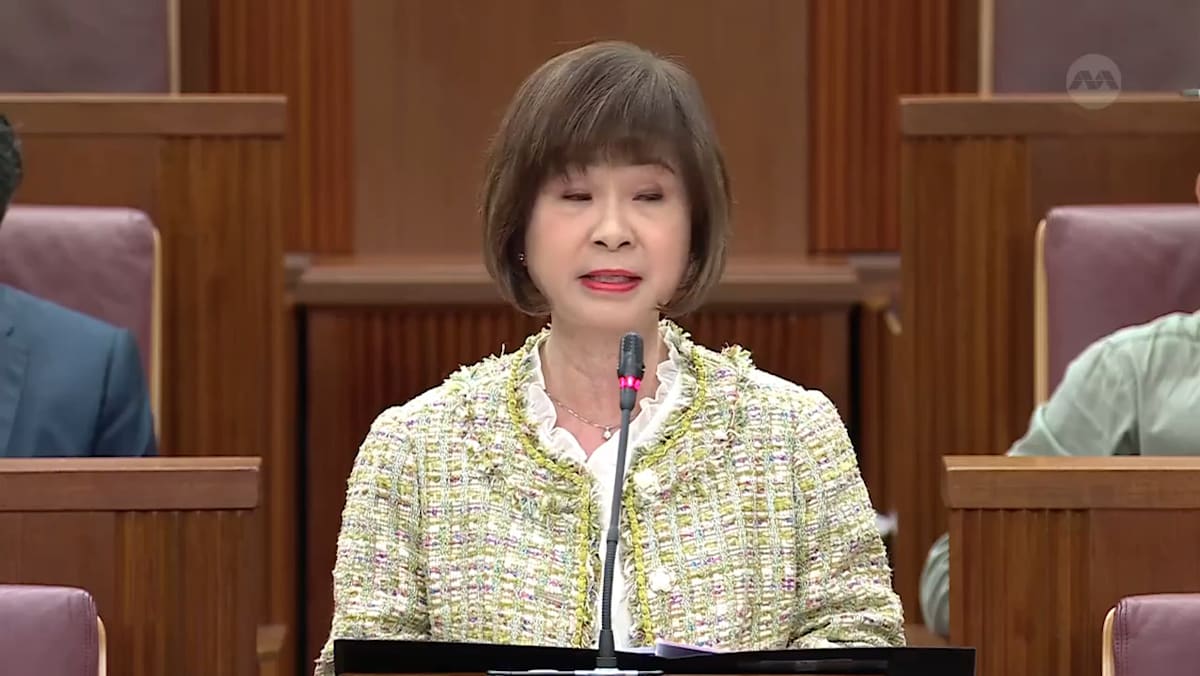 Amy Khor on bollards at pedestrian crossings - CNA
