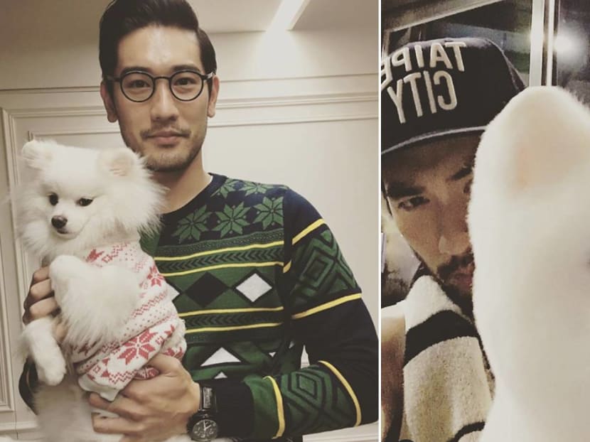 Godfrey Gao’s Older Brother Posts Touching Tribute To The Late Actor ...