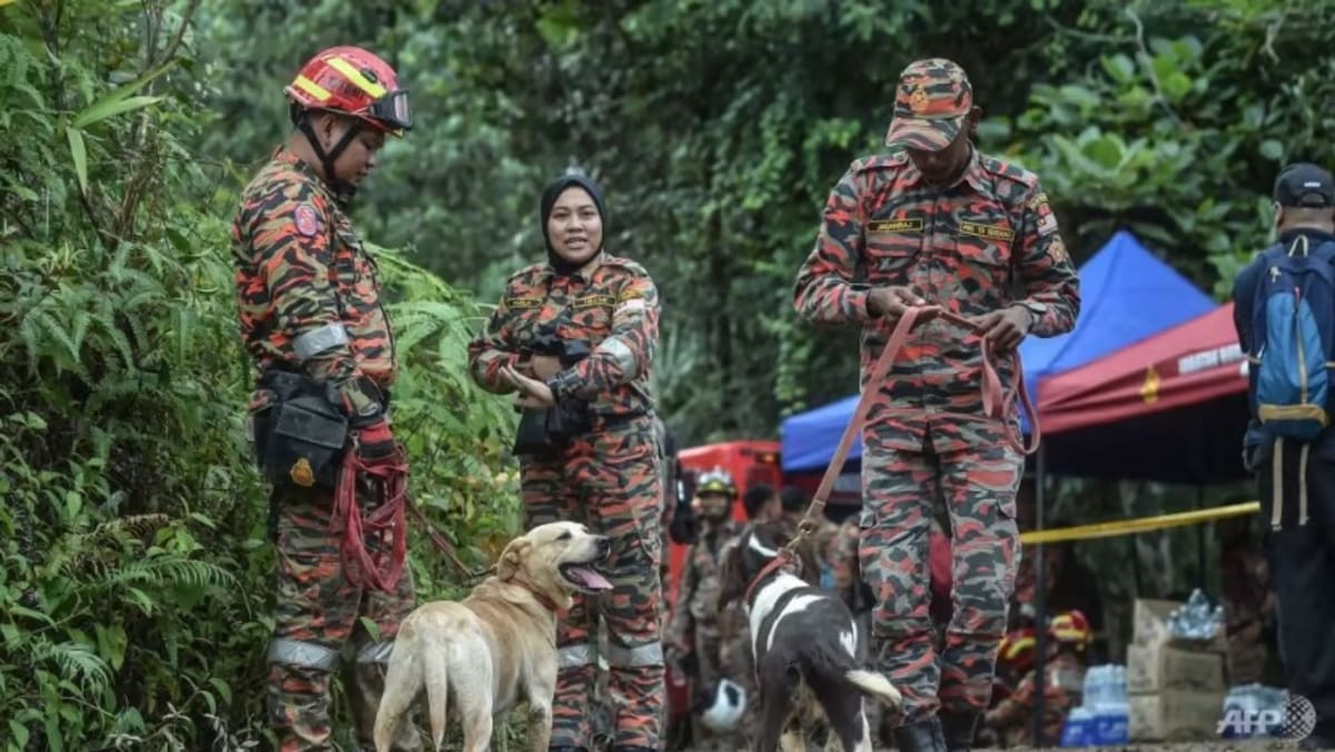 Tanah runtuh Genting Highlands: Anjing pengesan K9 direhatkan setelah ...