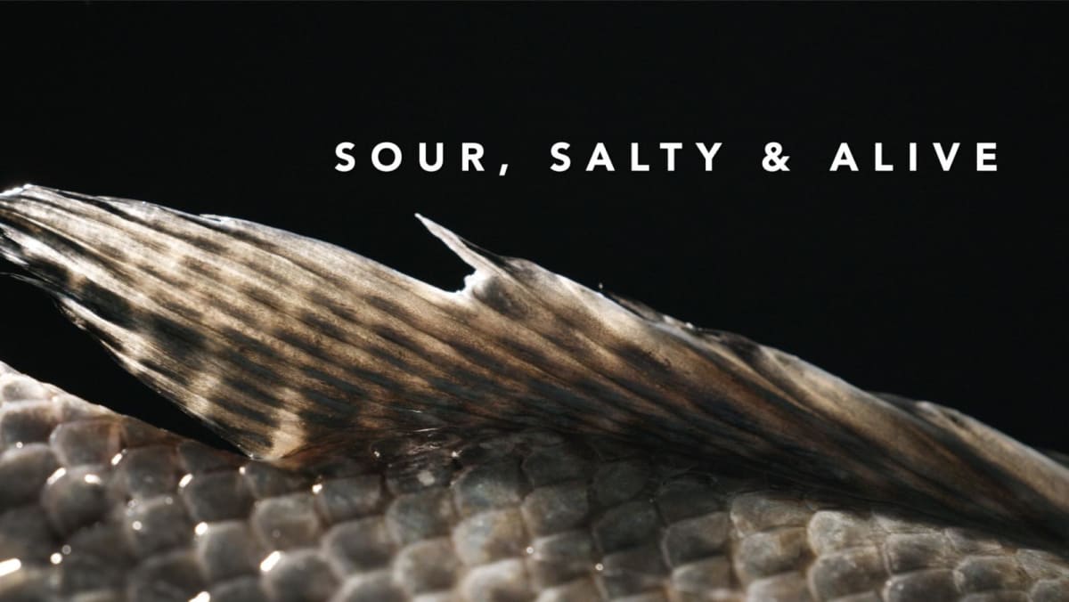 Sour, Salty & Alive - CNA