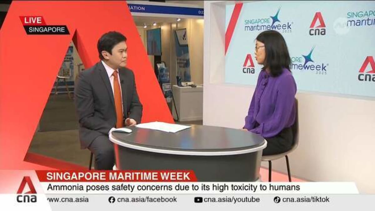 Robust infrastructure key to maritime decarbonisation: IEA - CNA