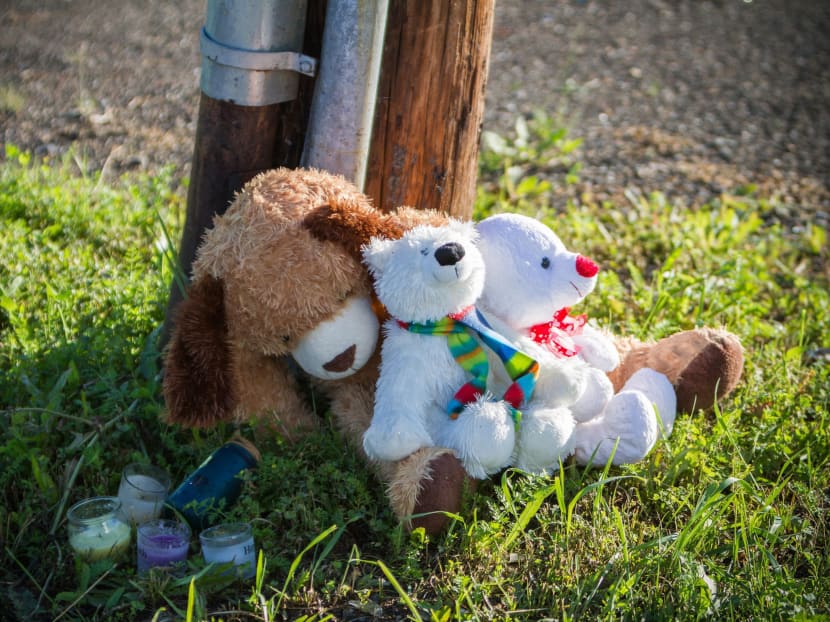 2 Canada boys strangled by escaped pet python - TODAY