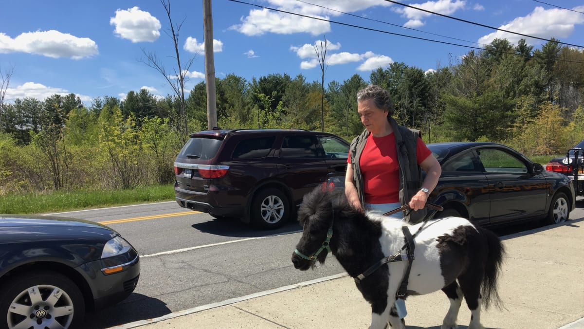 Payback: Blind woman nurses sick guide horse back to health - TODAY