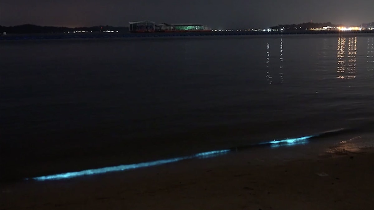 beach blue light