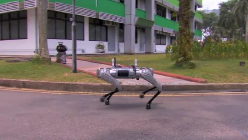 SG guna robot untuk pikat bakat muda; bantu firma tangani masalah ...