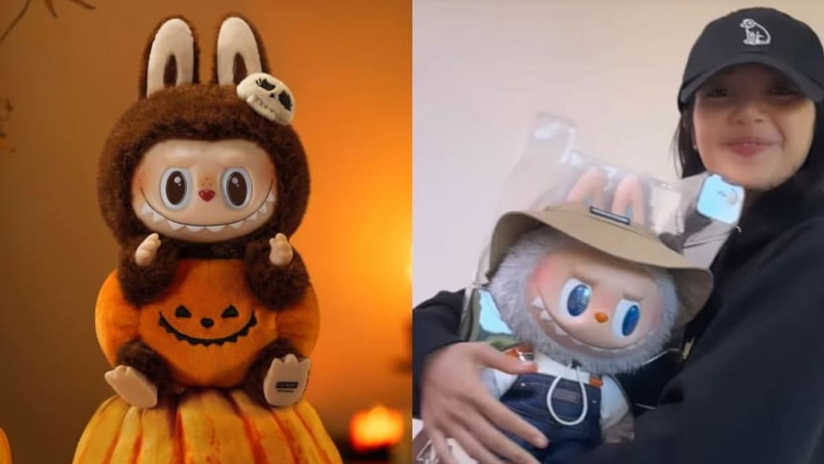 Labubu பொம்மை மோகம்..அதில் அப்படி என்ன இருக்கிறது? - Seithi Mediacorp