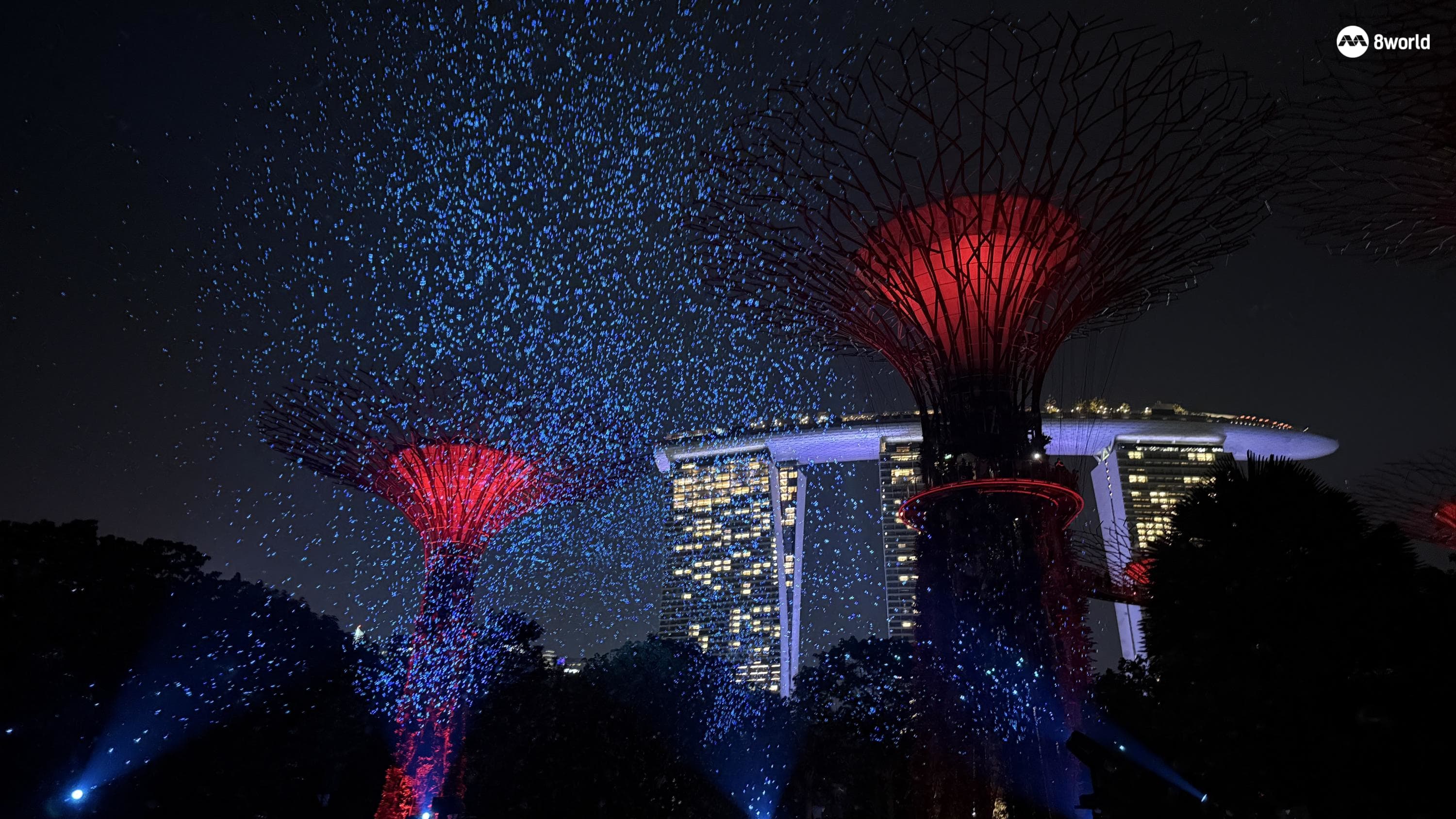 环保“光点”照亮滨海湾花园夜空 胡姬花展欢庆国庆 - 8world