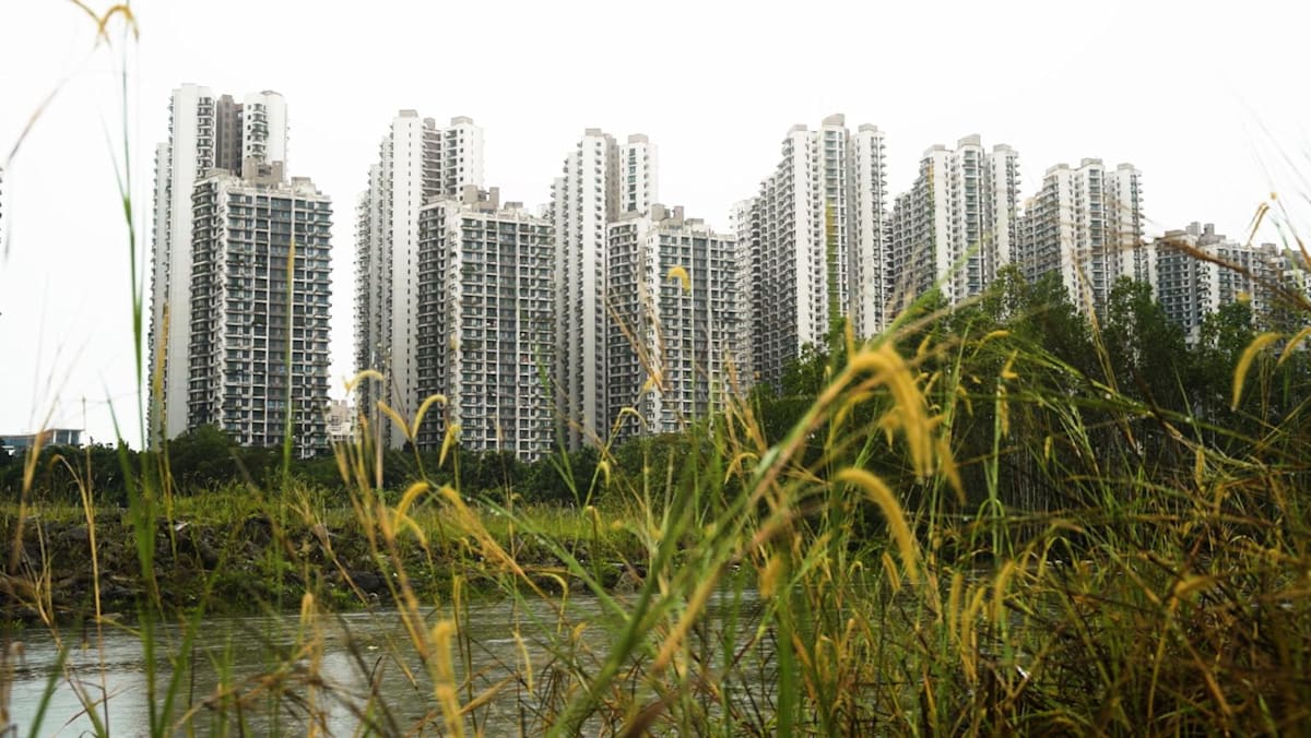 Insight 2024/2025 - Forest City: Reviving Malaysia’s Ghost Town - CNA