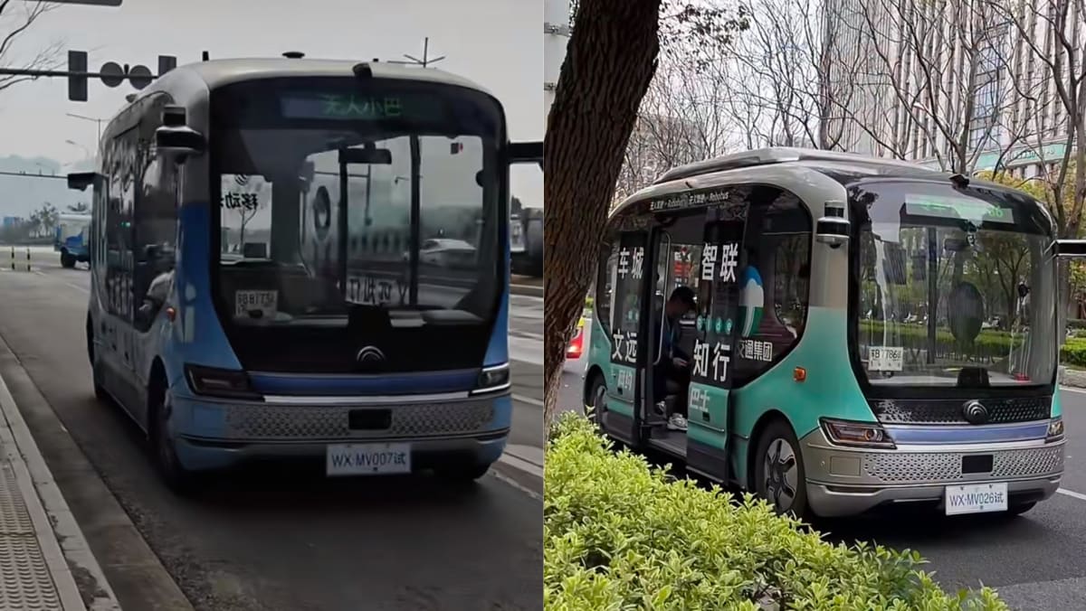Woman Impressed By China’s Driverless Buses, Where Fares Start From S$0 ...