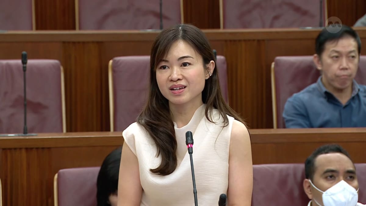 Budget 2025 debate: Tin Pei Ling on keeping Singapore resilient - CNA