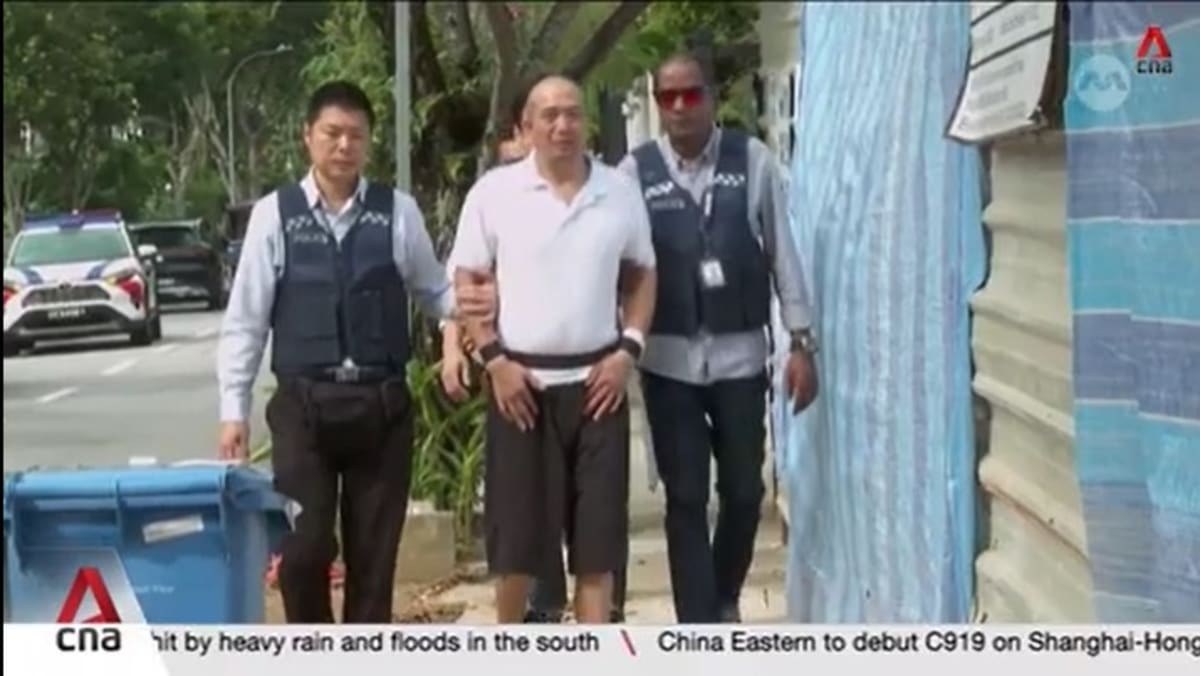 Two Chinese nationals charged with housebreaking taken back to ...