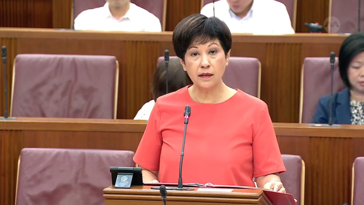 Indranee Rajah on essential occupiers of HDB flats - CNA