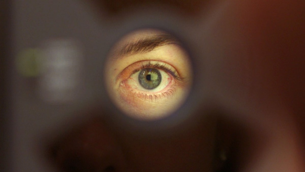 Collection of iris scans could start next year, says ICA - TODAY