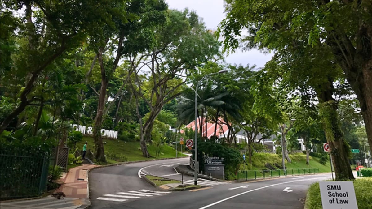 Canning Rise dijadikan laluan pejalan kaki bermula 3 Jan - BERITA Mediacorp