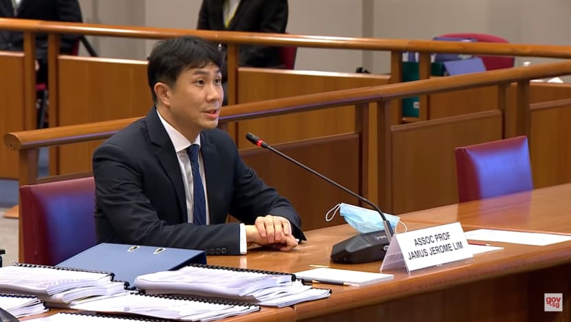 Sylvia Lim says time was needed to structure Raeesah Khan’s ...