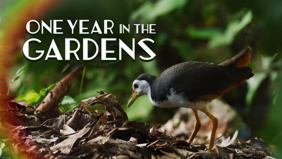 One Year in the Gardens - CNA