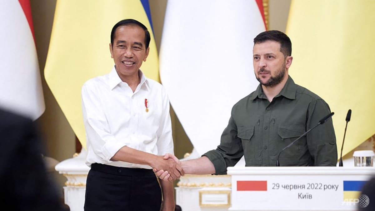 Commentary: Jokowi adopts a statesman style ahead of G20 summit - CNA ...