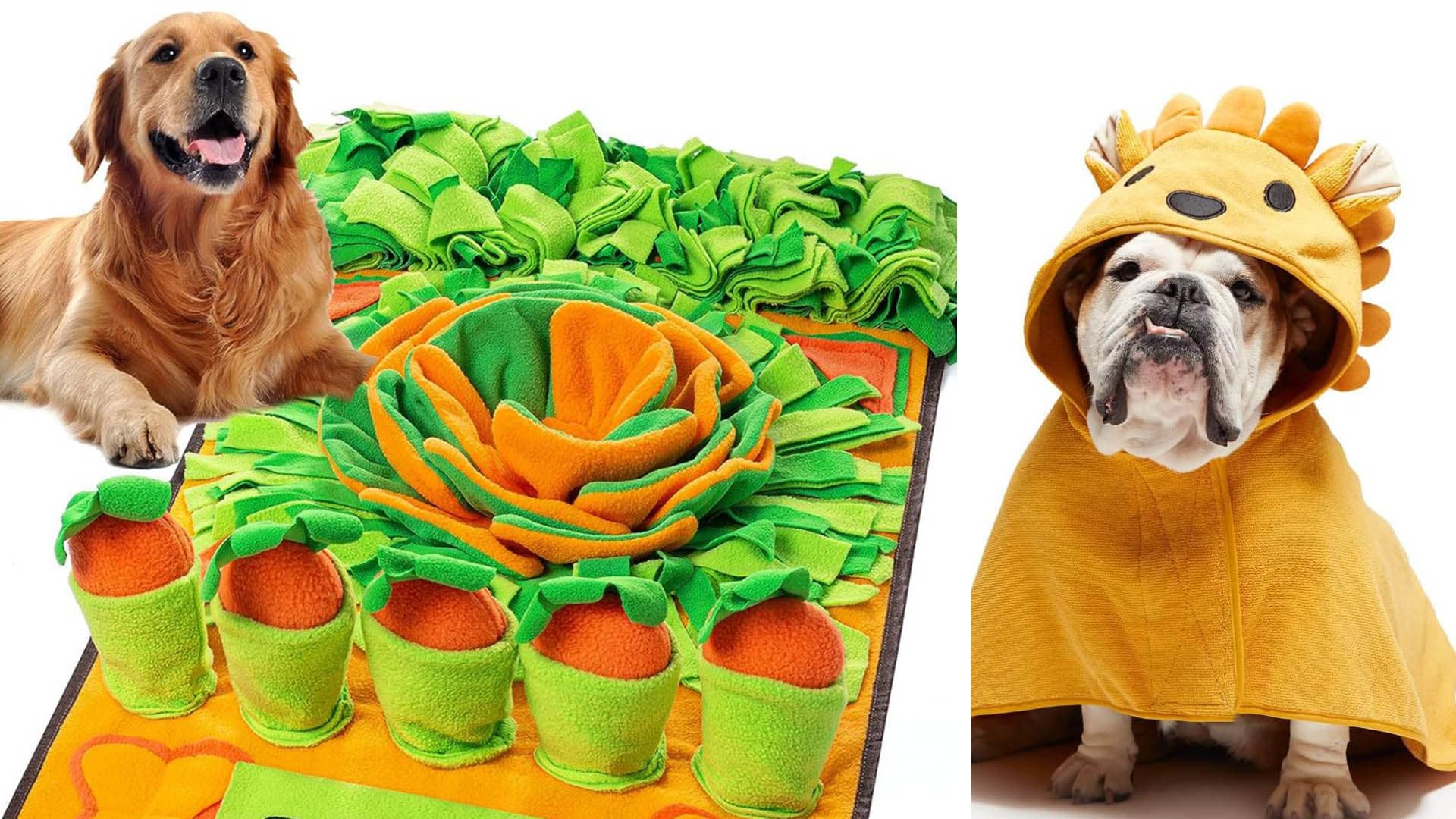 These Paw-some Dog Toys & Accessories Are Under $50 — Pamper Your Pooch ...