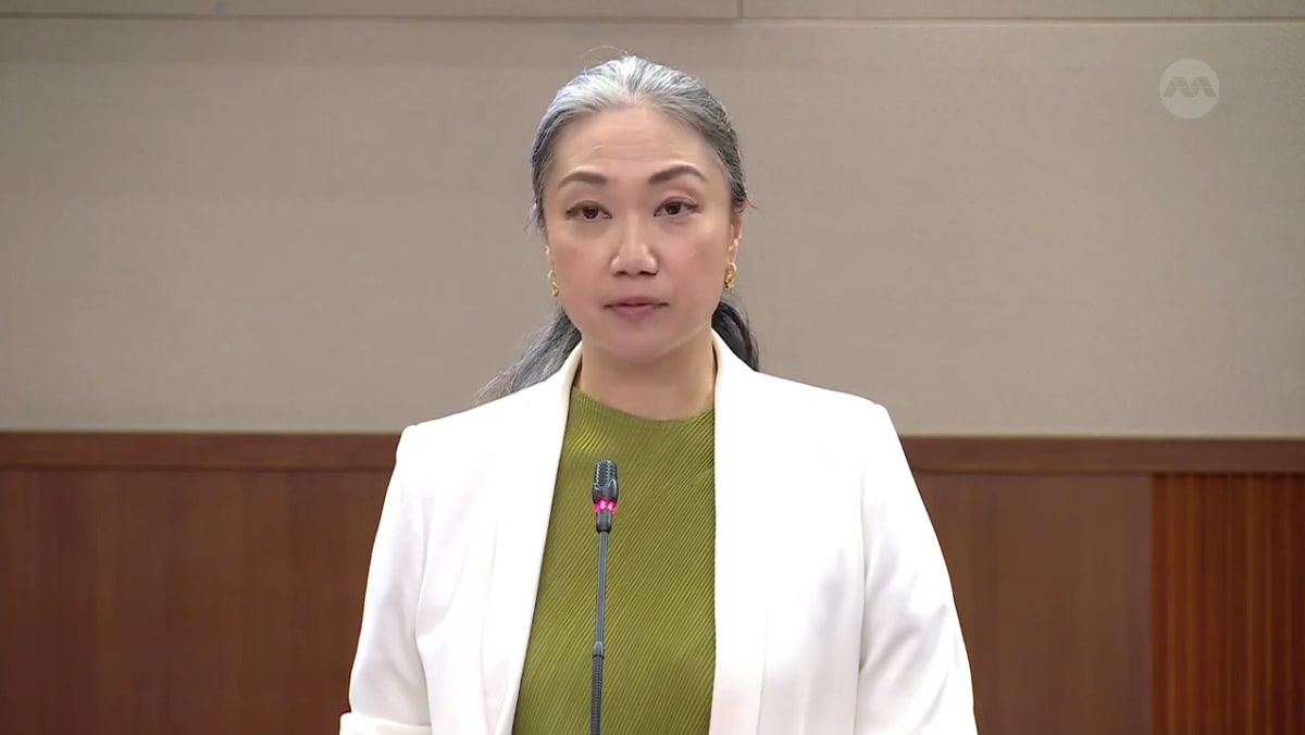 Committee of Supply 2025 debate, Day 5: Carrie Tan on new model of ...