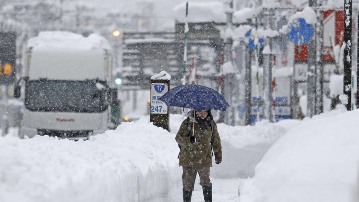 Heavy snow in Japan causes blackouts in Hokkaido, flight cancellations ...