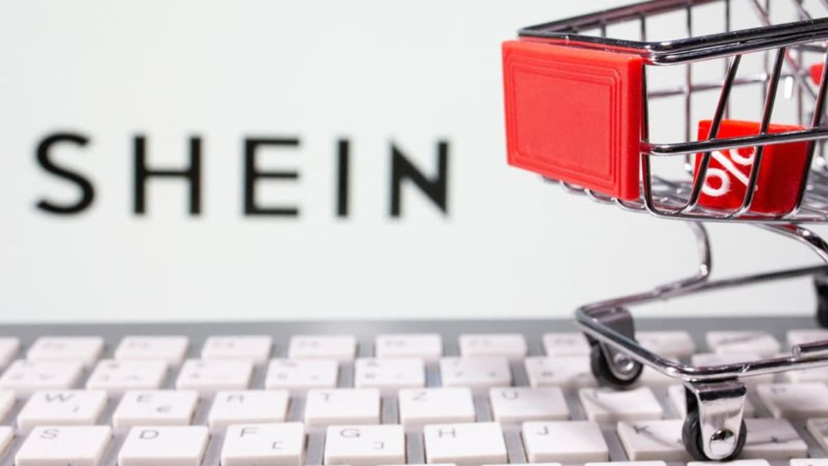 Explainer: What went wrong with Shein's marketing campaign flying ...