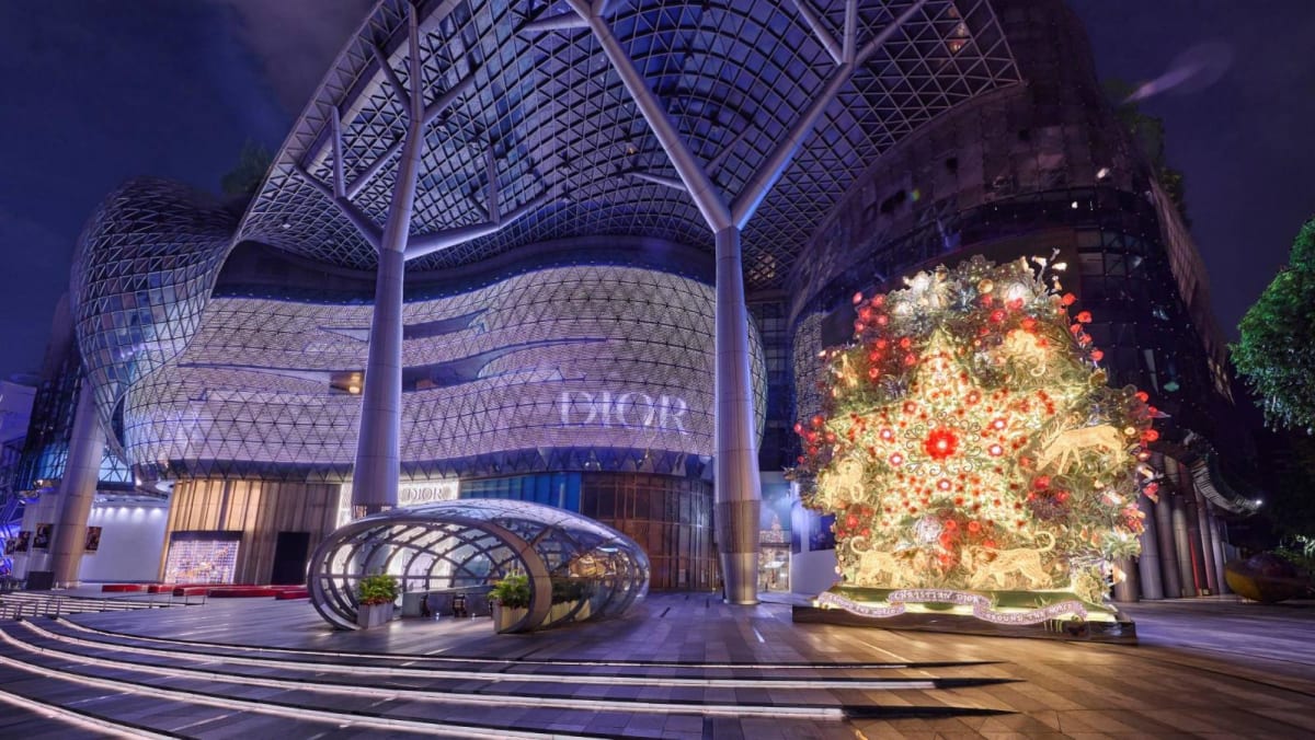 Dior rewrites a festive tradition with its signature star at Ion ...