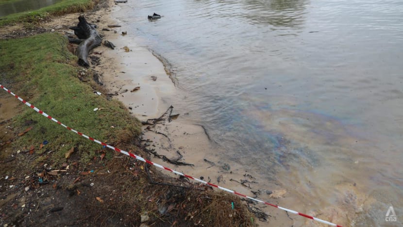 Oil leak clean-up at Changi, Pasir Ris beaches to take several days - CNA