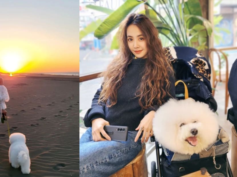 Jolin Tsai mourns death of 18-year-old Bichon Frise - CNA Lifestyle